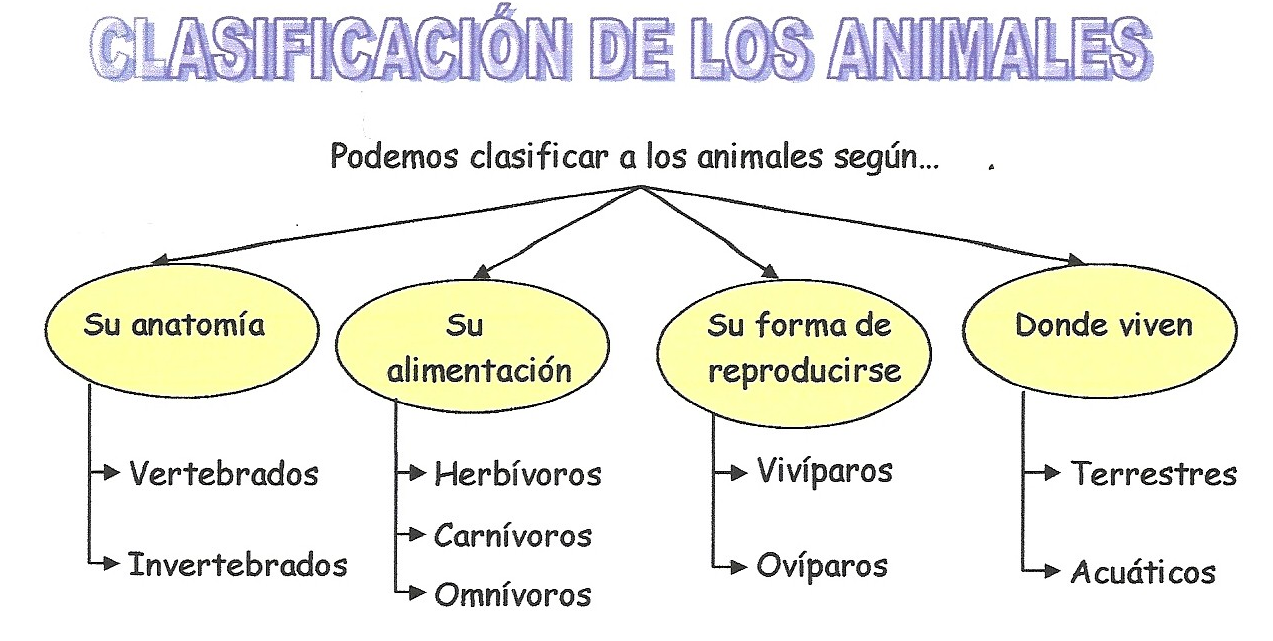 APRENDE Y DIVIERTETE: CLASIFICACIÓN DE LOS ANIMALES SEGÚN...