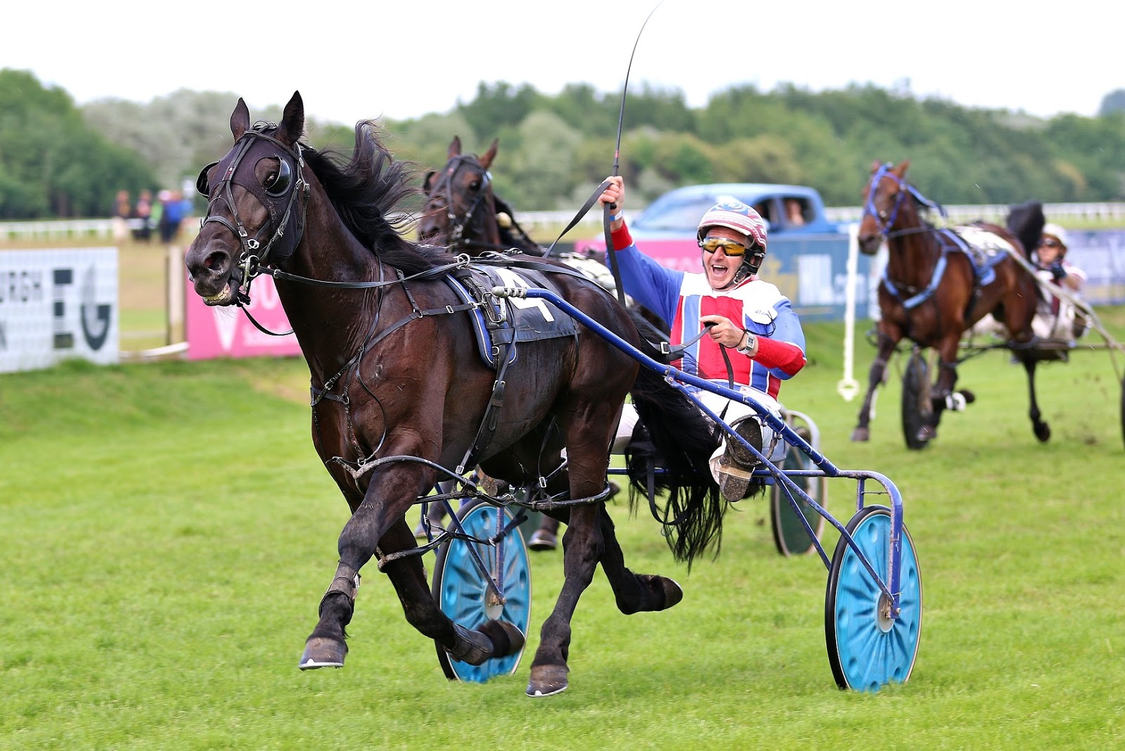 Harness Racing in the UK: 2016 Season: Week 8 - the return of Musselburgh