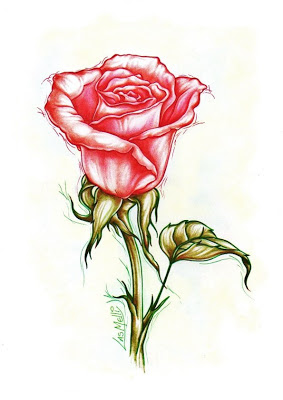 Pimpollo de rosa - Educacion Religiosa