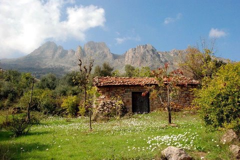 Les maisons traditionnelles Kabyles (Axxam)