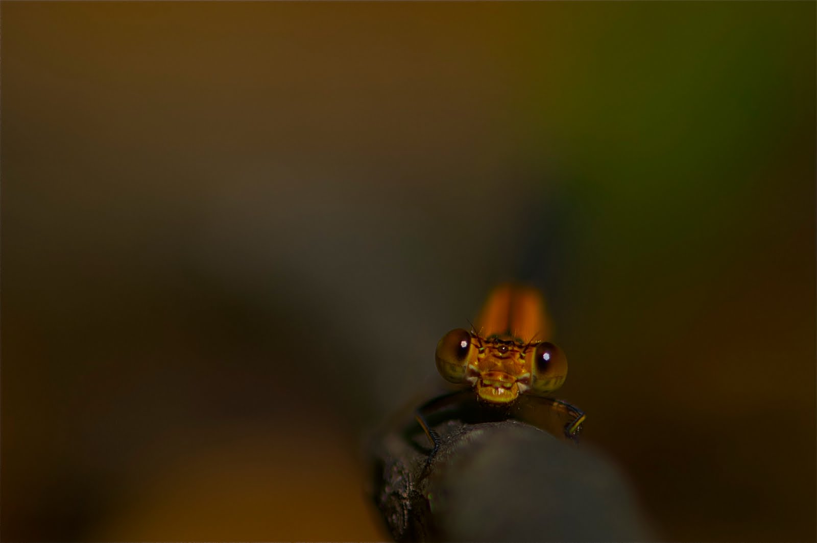 Magical Gains: Making Myths Real III - creating the Thriae.