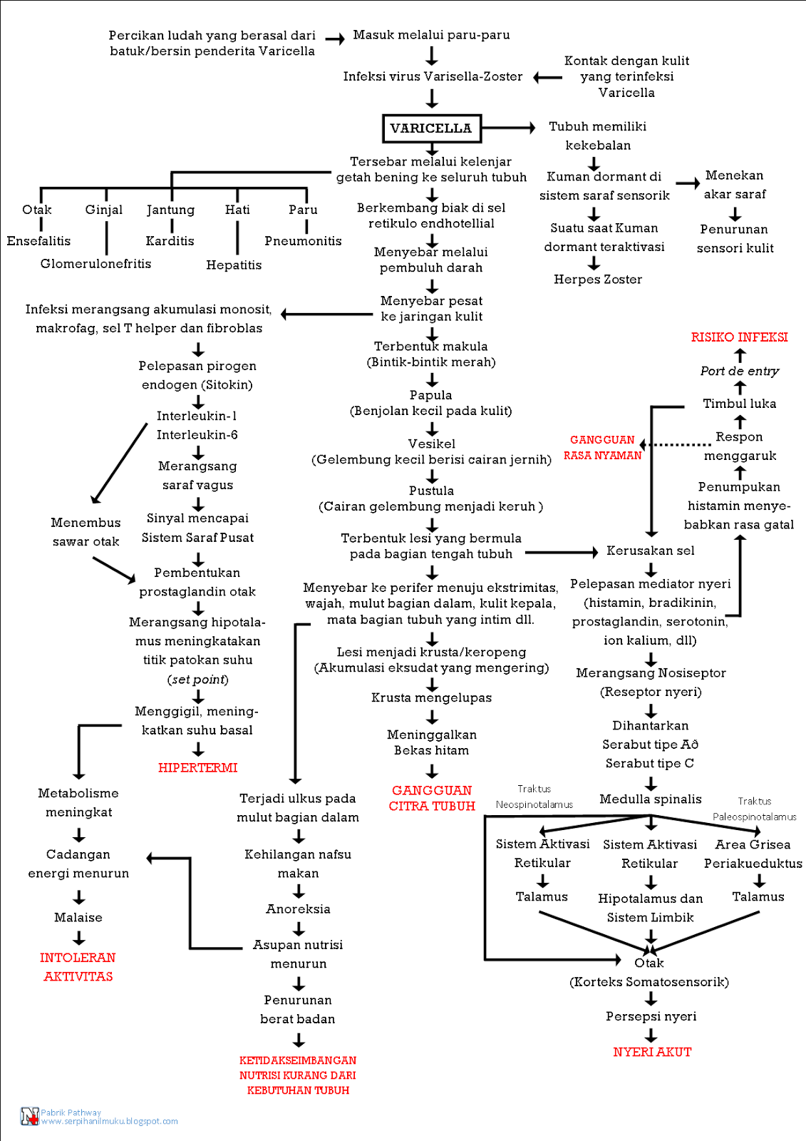 Pathway Varicella (Cacar Air)