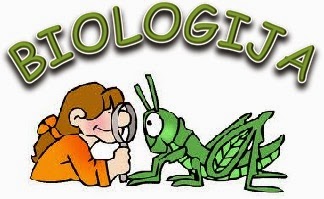 Č i v i l u k S t a r i : Šta je biologija