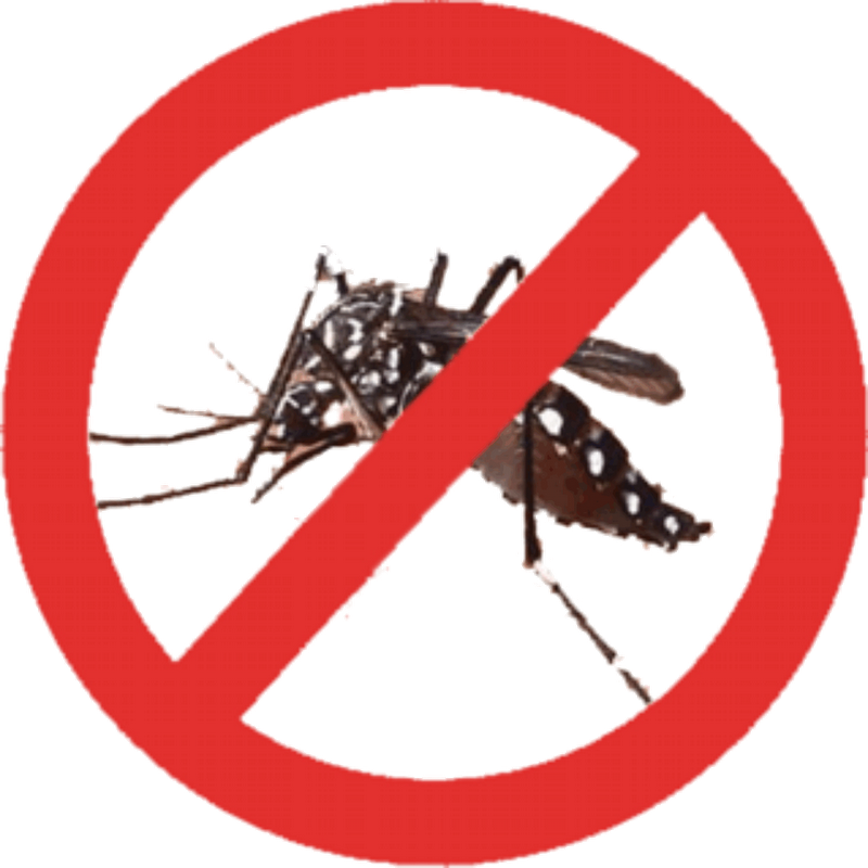 A SU SALUD: Continúan las acciones contra el Dengue