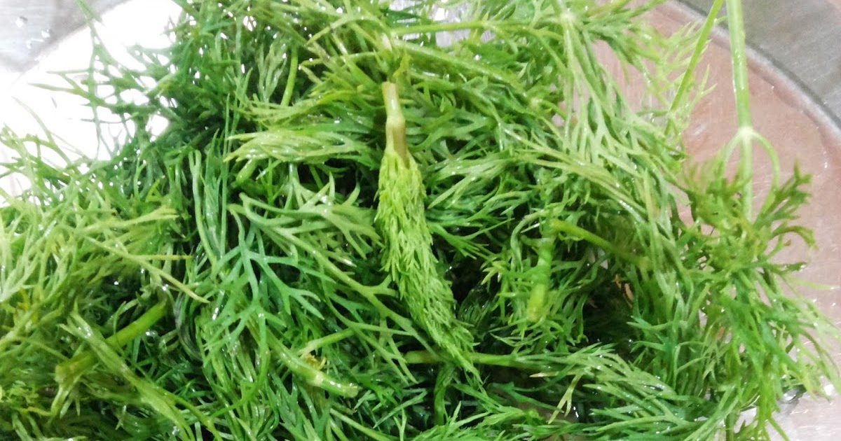 Healthy & Yummy Recipes: Sepu Bhaji Dosa