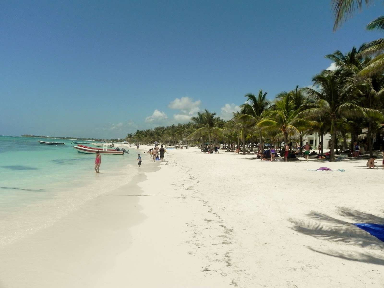 AKUMAL, LUGAR DE TORTUGAS | Mis viajes