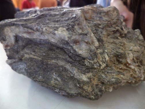 Gneis (Gneiss) - Roca