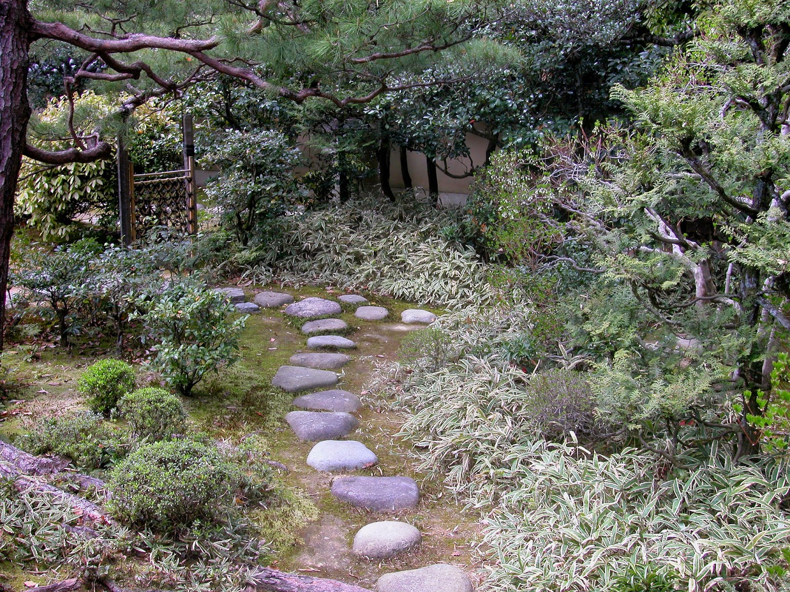 Robert Ketchell's blog: Tea and the Japanese Garden
