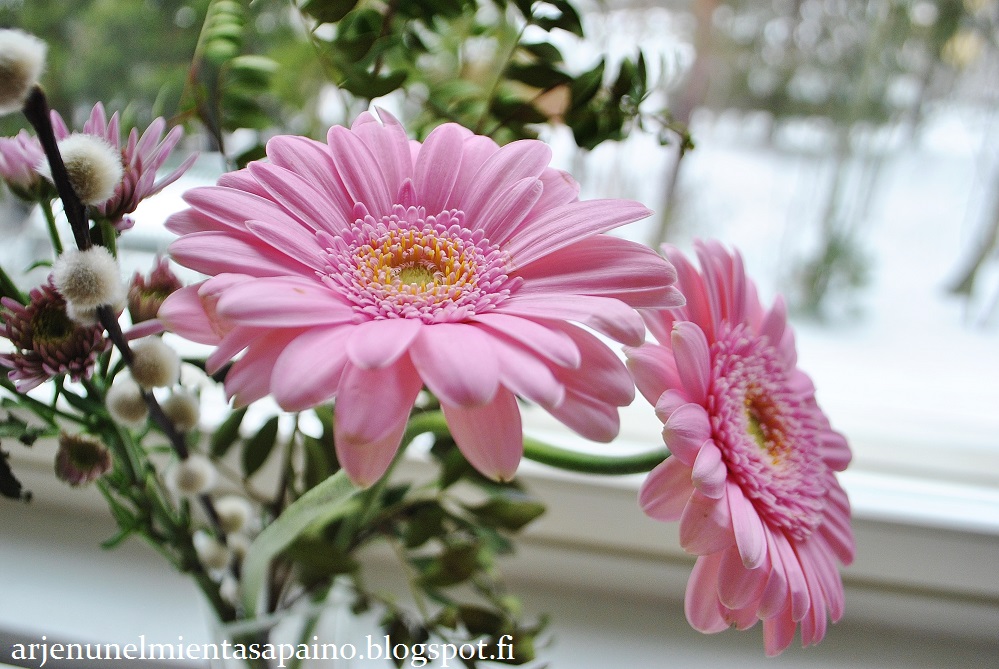 Tasapainoilua 1: Keväiset kukat