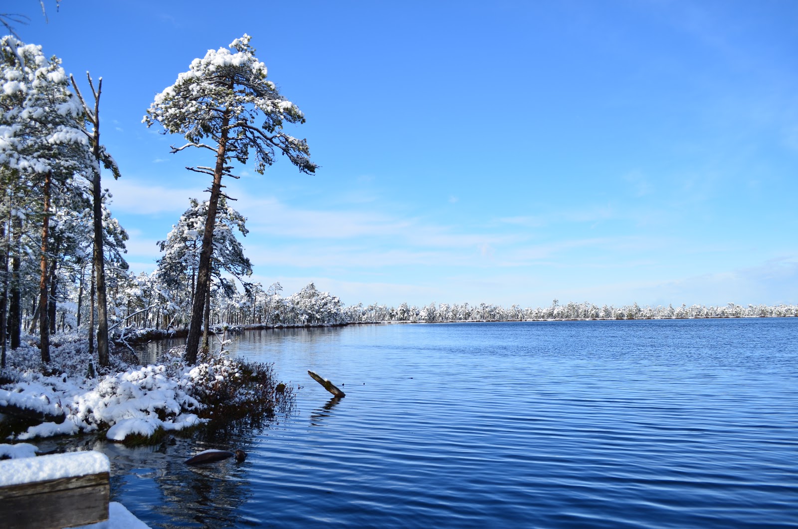 Looduspildid: November 2012