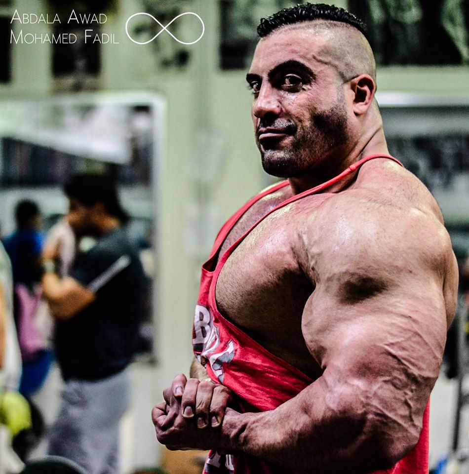 Muscle Lover: Iraqi muscle beast Ali Hani (2)