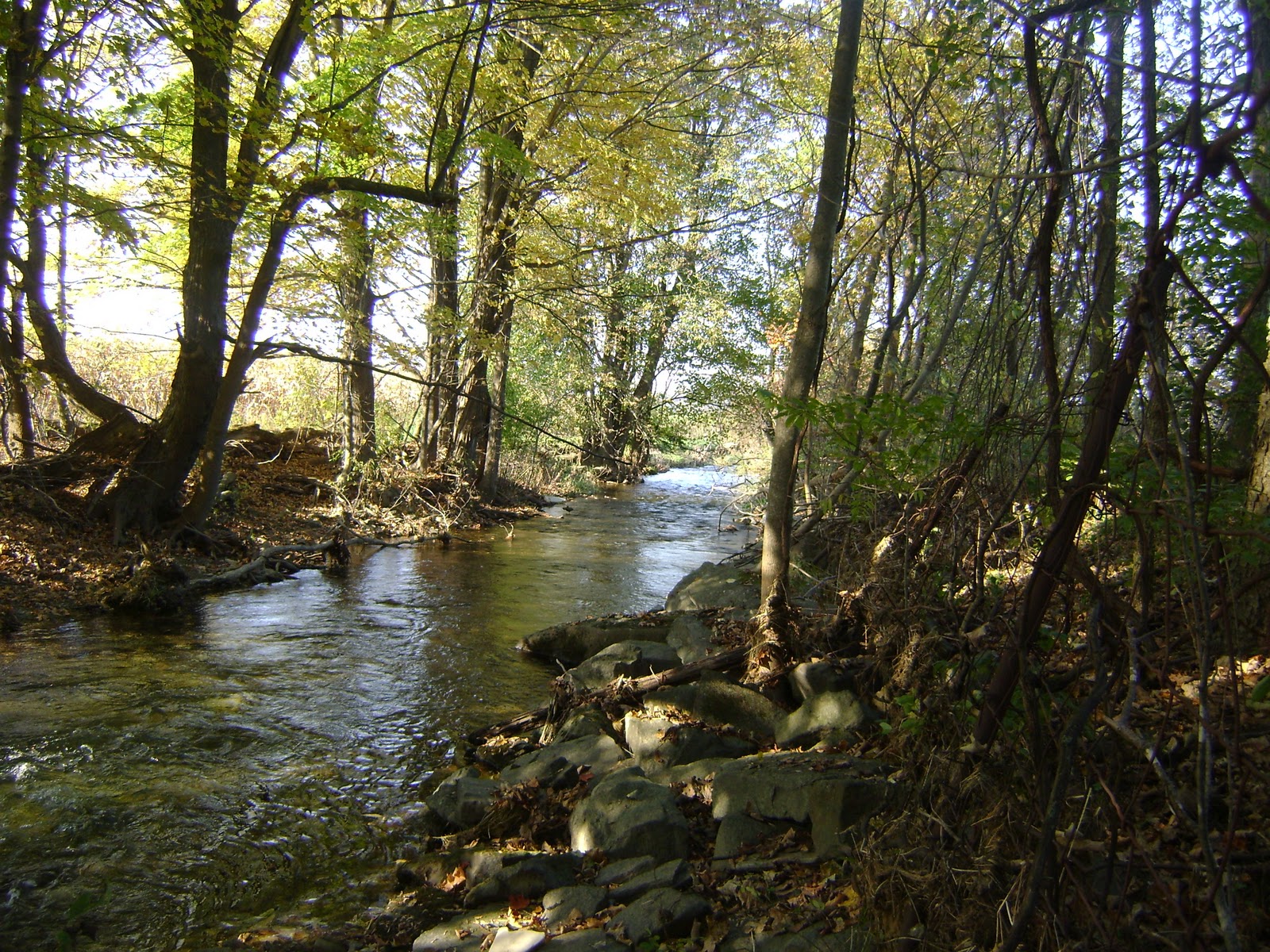 Wayward Goose Farm: The D&H Rail Trail