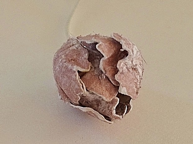 Tattered Treasures: Blooming Rose Tutorial