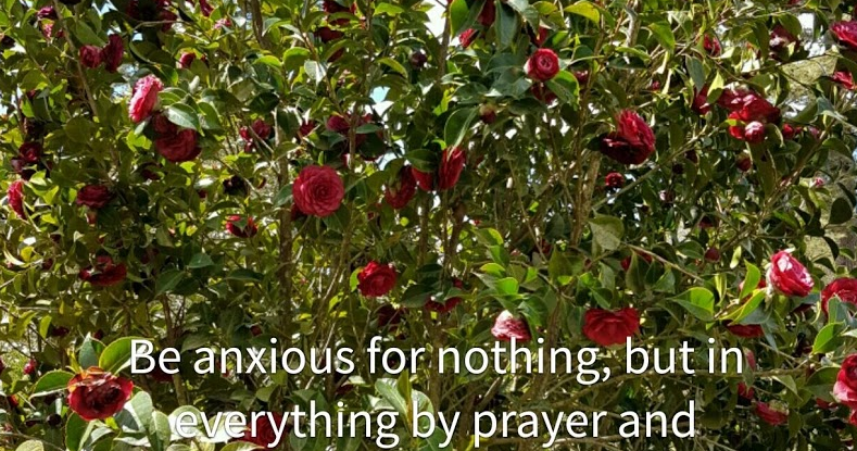 St Patrick-On-The-Hill: Prayer for Inclusion / Exclusion: 9th October 2016