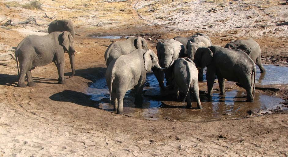 French Vocabulary Illustrated: tarir