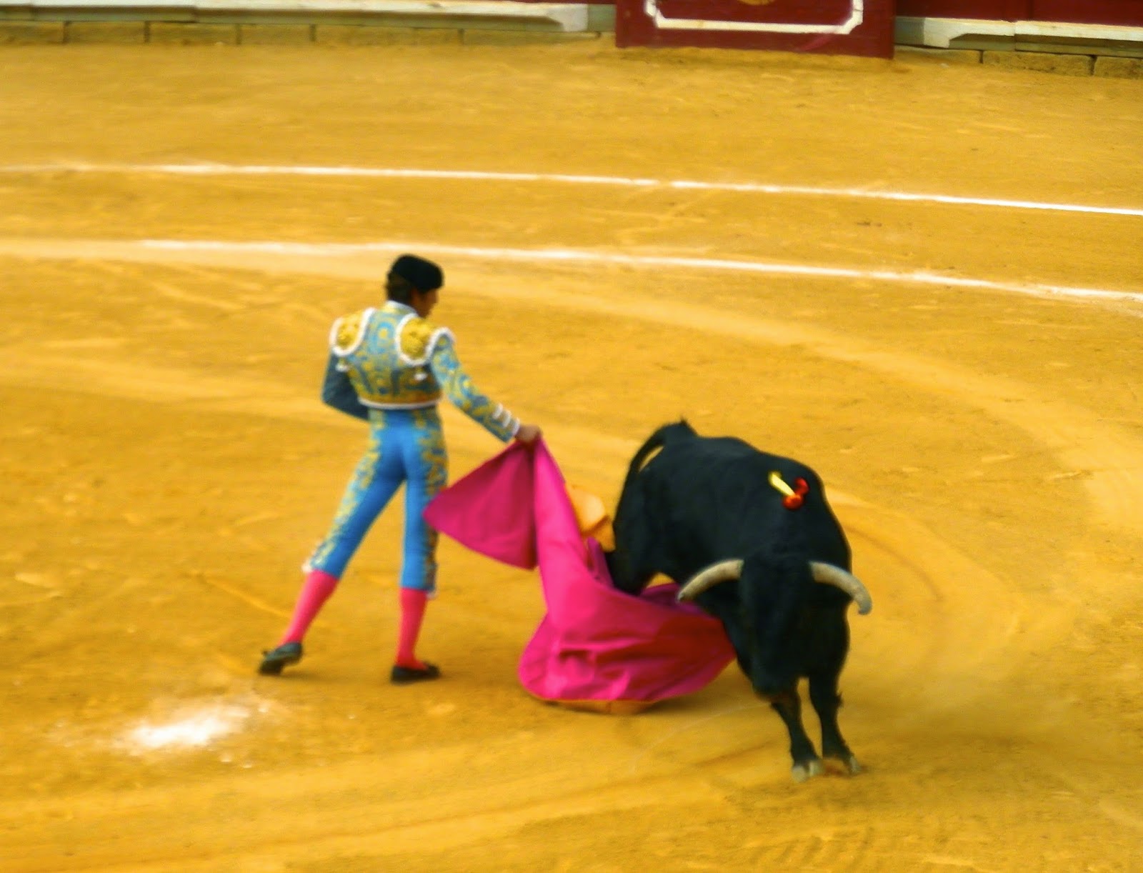 Asociación Toreo en Red Hondo: TORO (Zamora): corrida concurso, y un ...