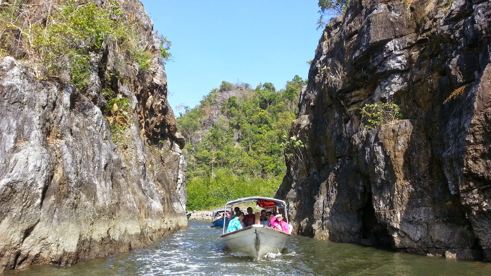 Langkawi Mangrove Tour: Mangrove Tour by Boat
