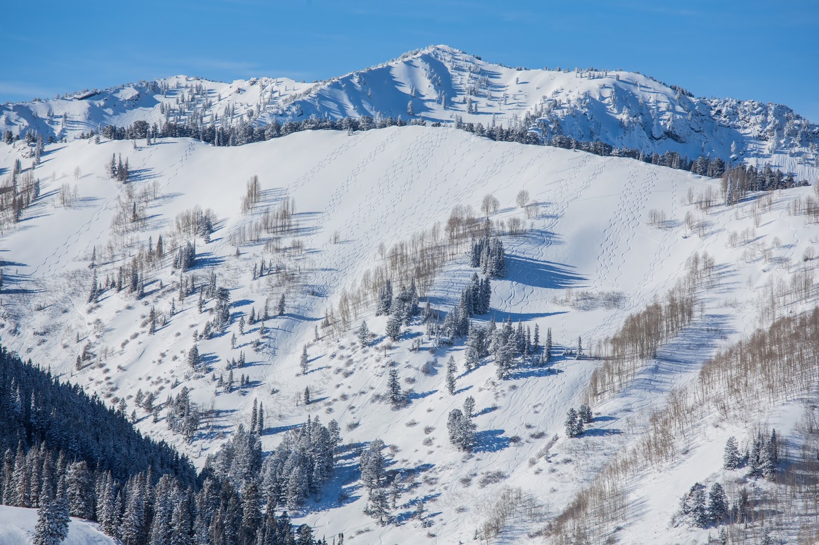 One Two Ski: Powder Peace at Secret Solitude