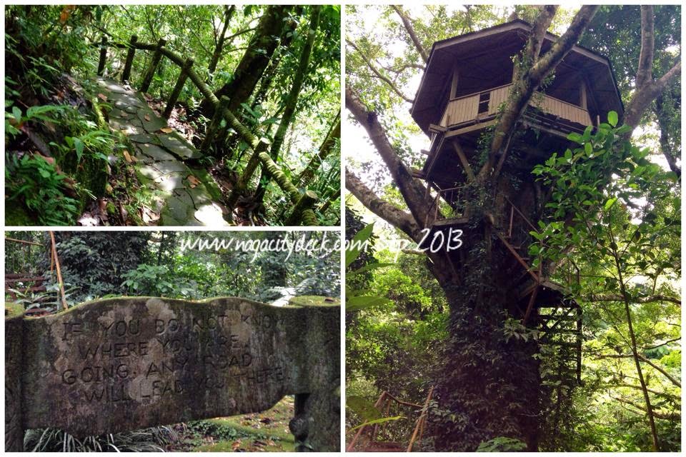 Guide to Consocep Mountain Resort / Falls ~ Naga City Deck