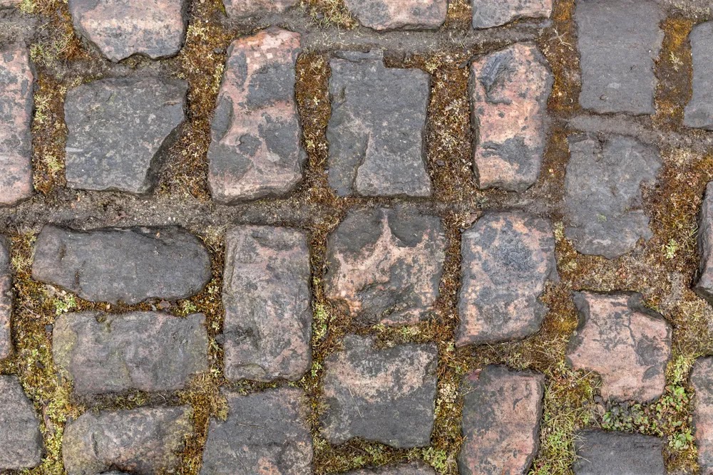 The Cobbled Hell of Trouée d'Arenberg | Amusing Planet