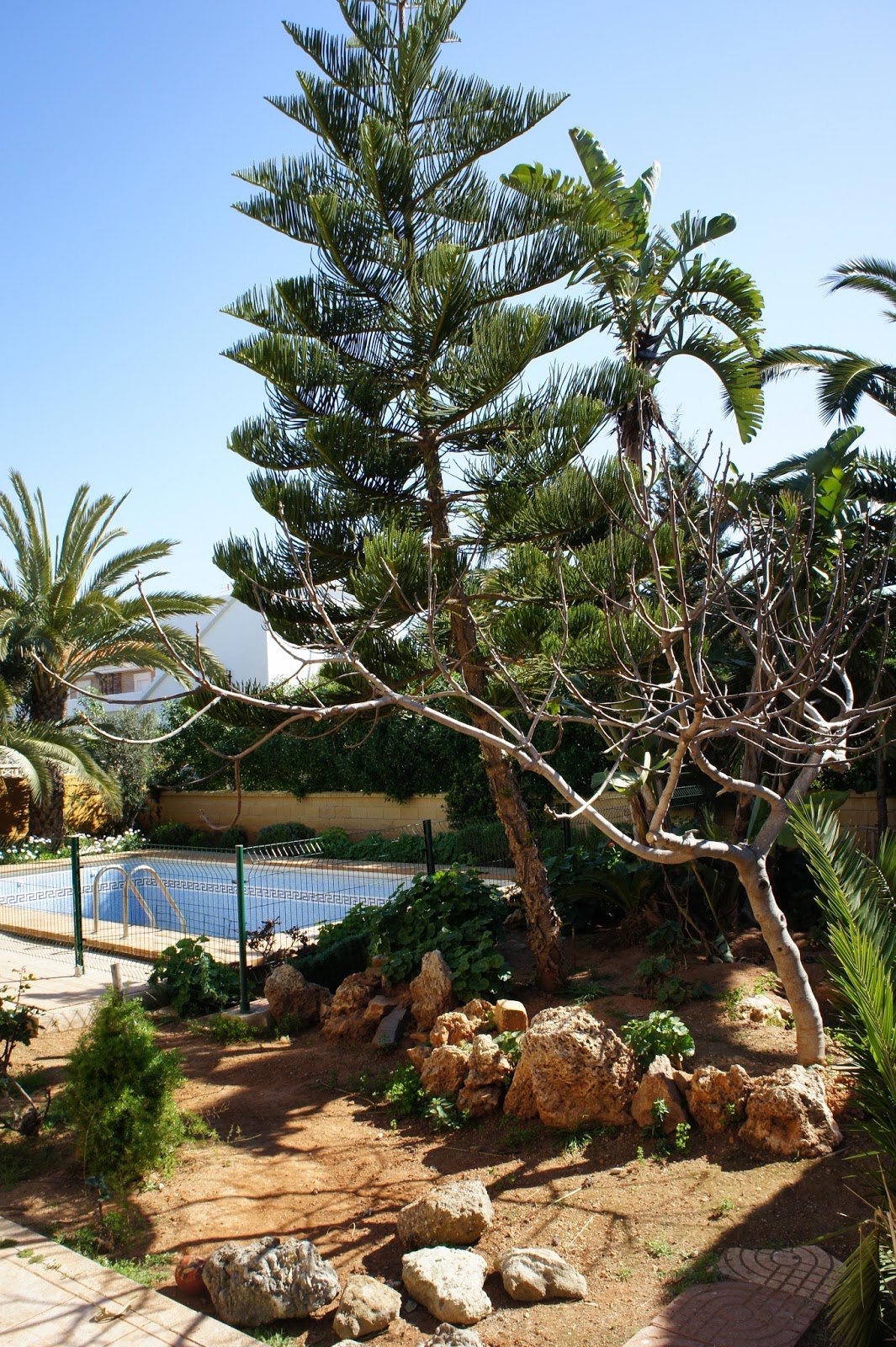 Dofil Tres S.L.: 2017