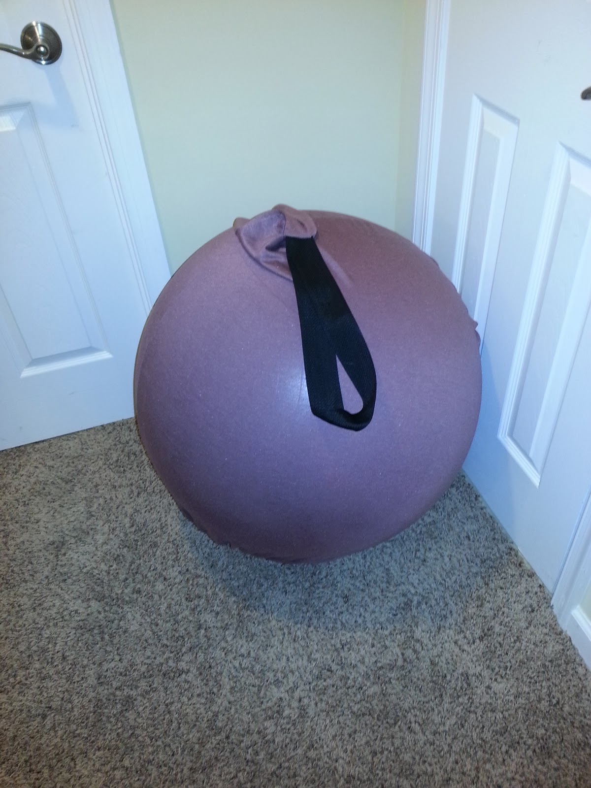 Baby Byrd Doula: Birth Ball Cover