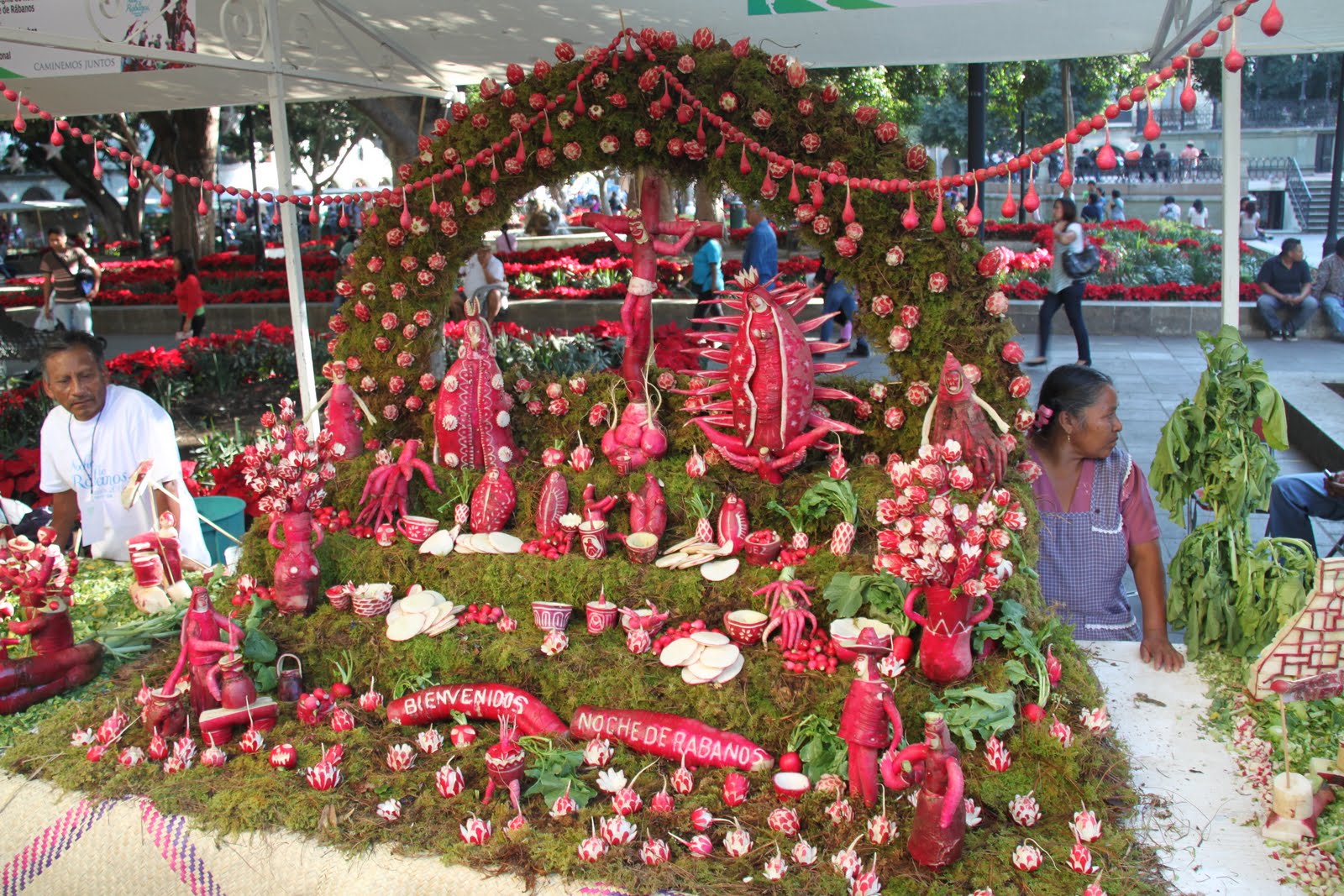 Mexico File: Night of the Radishes