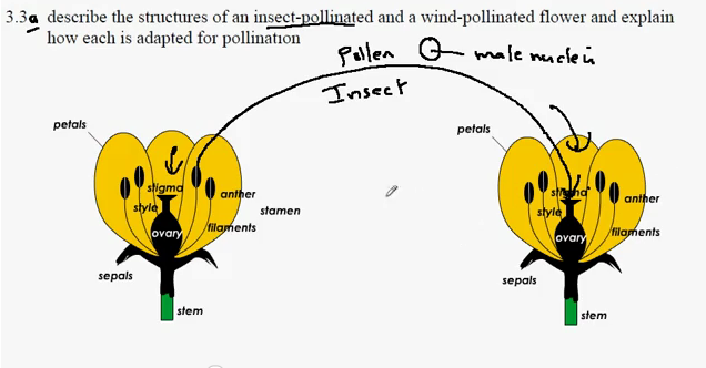 science(biology,physics,chemistry,agriculture) ,USA education ...