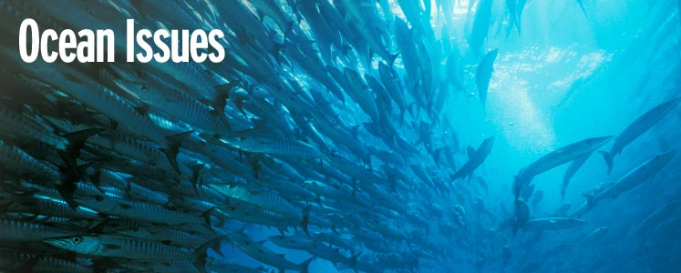 Reading Writing 626 Fall 2012: OCEAN ISSUES