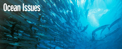 Reading Writing 626 Fall 2012: OCEAN ISSUES