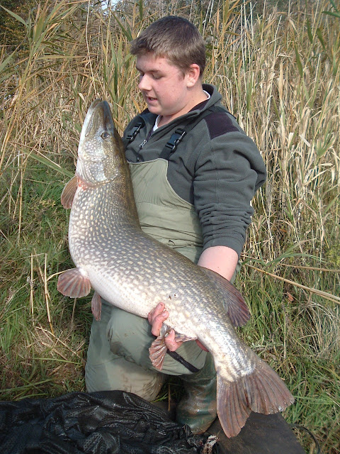 The Pike Pool: Pool View - Danny Williams
