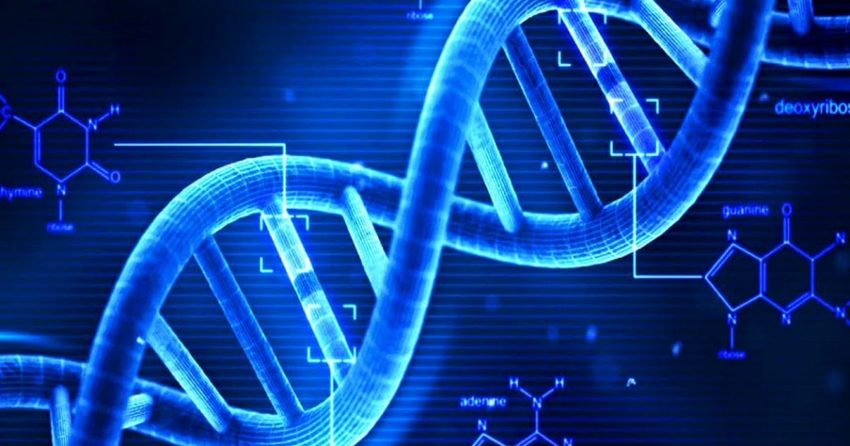 Pengertian DNA dan Komponen Penyusun DNA - Materi Pendidikan Dasar, SMP ...