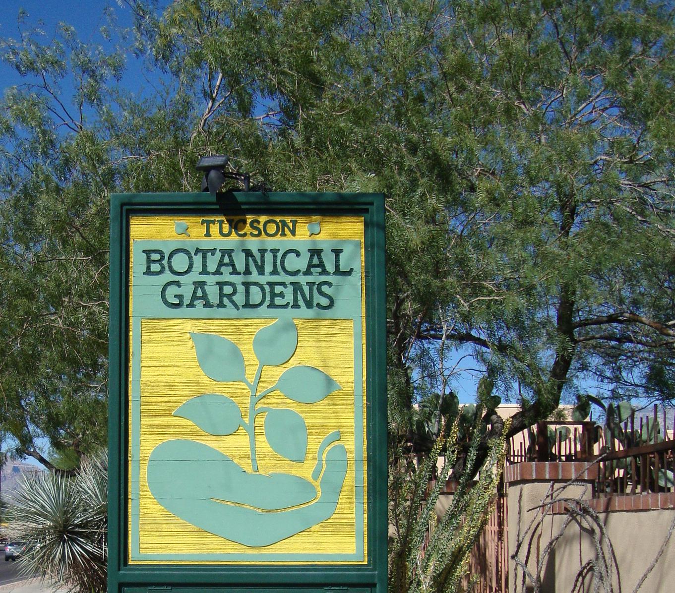 danger garden: The Tucson Botanical Gardens