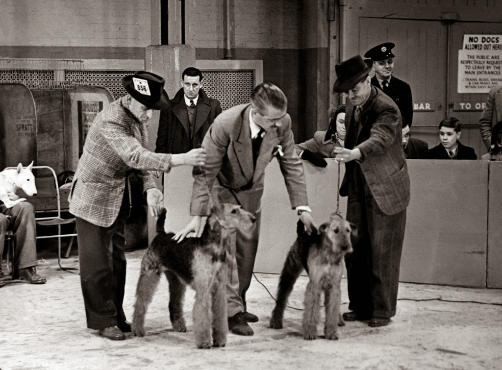 Vintage Photographs of Dog Contests in the 1950s ~ Vintage Everyday