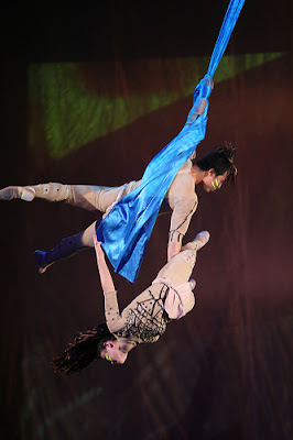 iaadamlim: Varekai by Cirque du Soleil: Review (with some comparisons ...