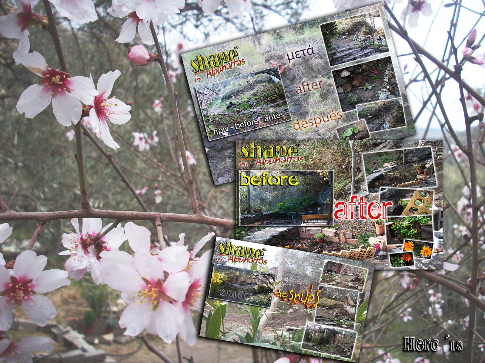 Papa,Da,KISS: Ενδιαφέροντα