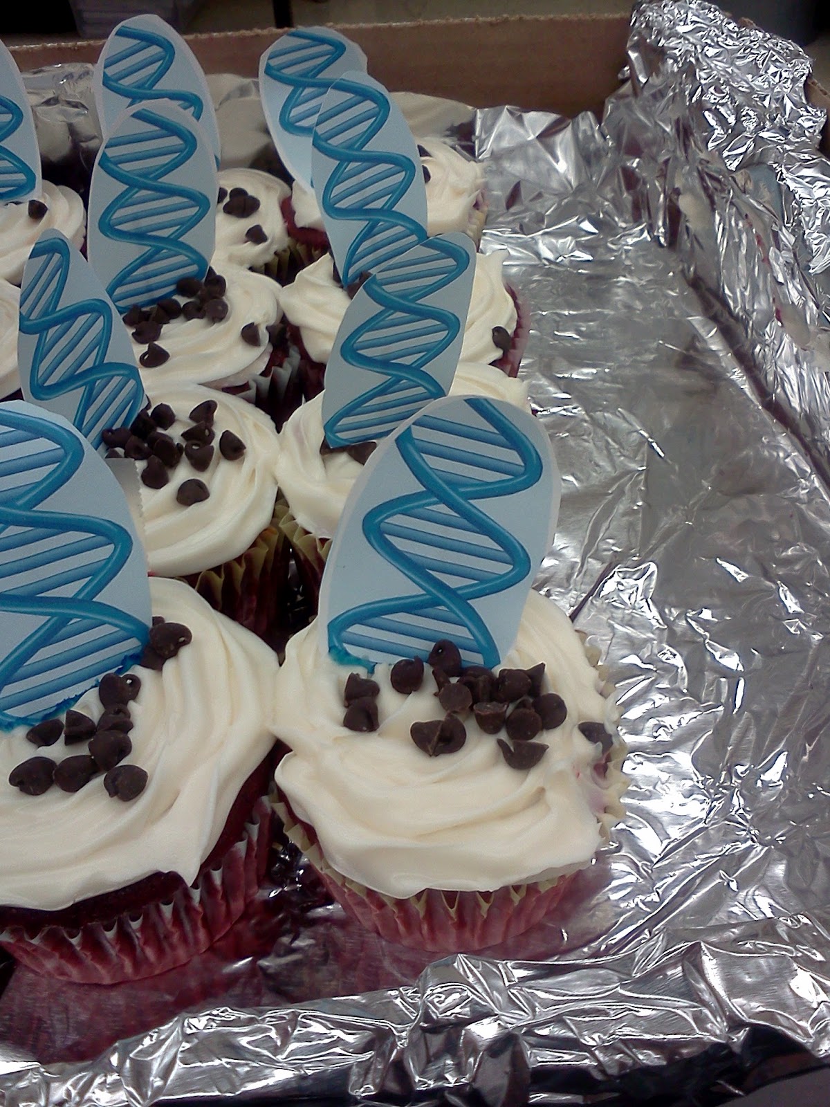 EC Honors Biology: Happy DNA Day!!!!