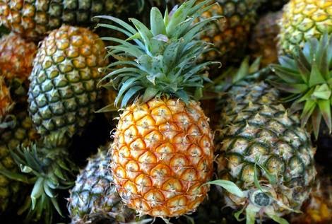 Health & Lifestyle Management : Pineapple - The Tropical Treat