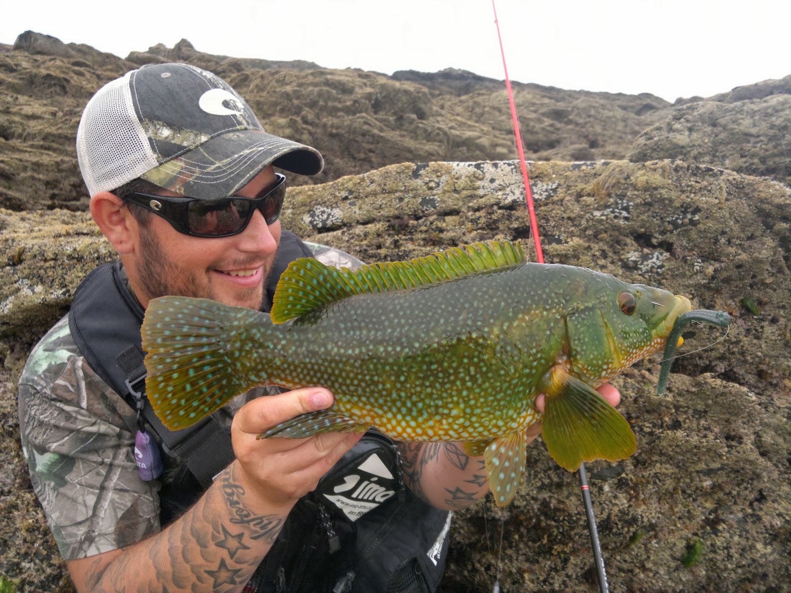 Lure Fishing. A Diary of Danny & Friends