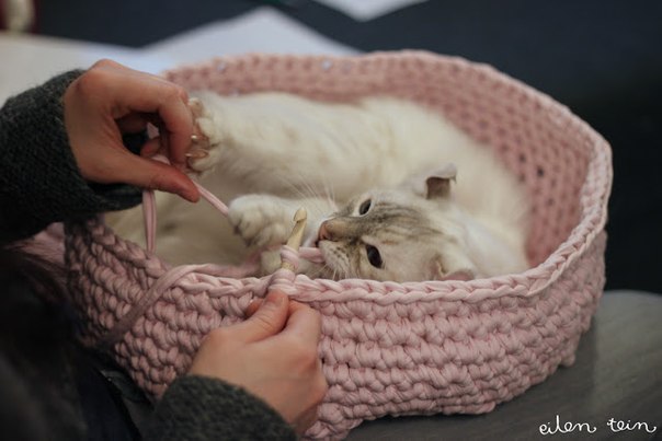 Cat House Ideas Cat Lovers cat-house-ideas-cat-lovers