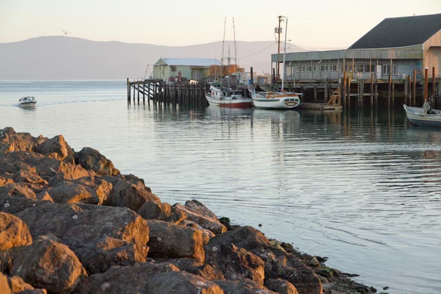 Ridgeway Heights: Evening Sun at Garibaldi Boat Docks