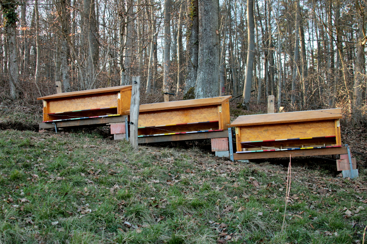 Passion-Apiculture. Le blog de l'Abeille Pat: mars 2017