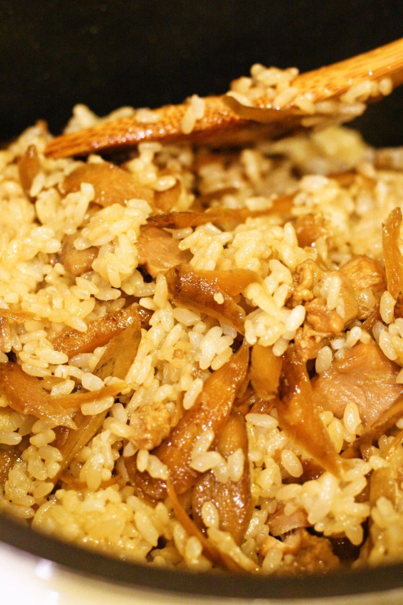 Perfectly imperfect : Chicken and Burdock Rice