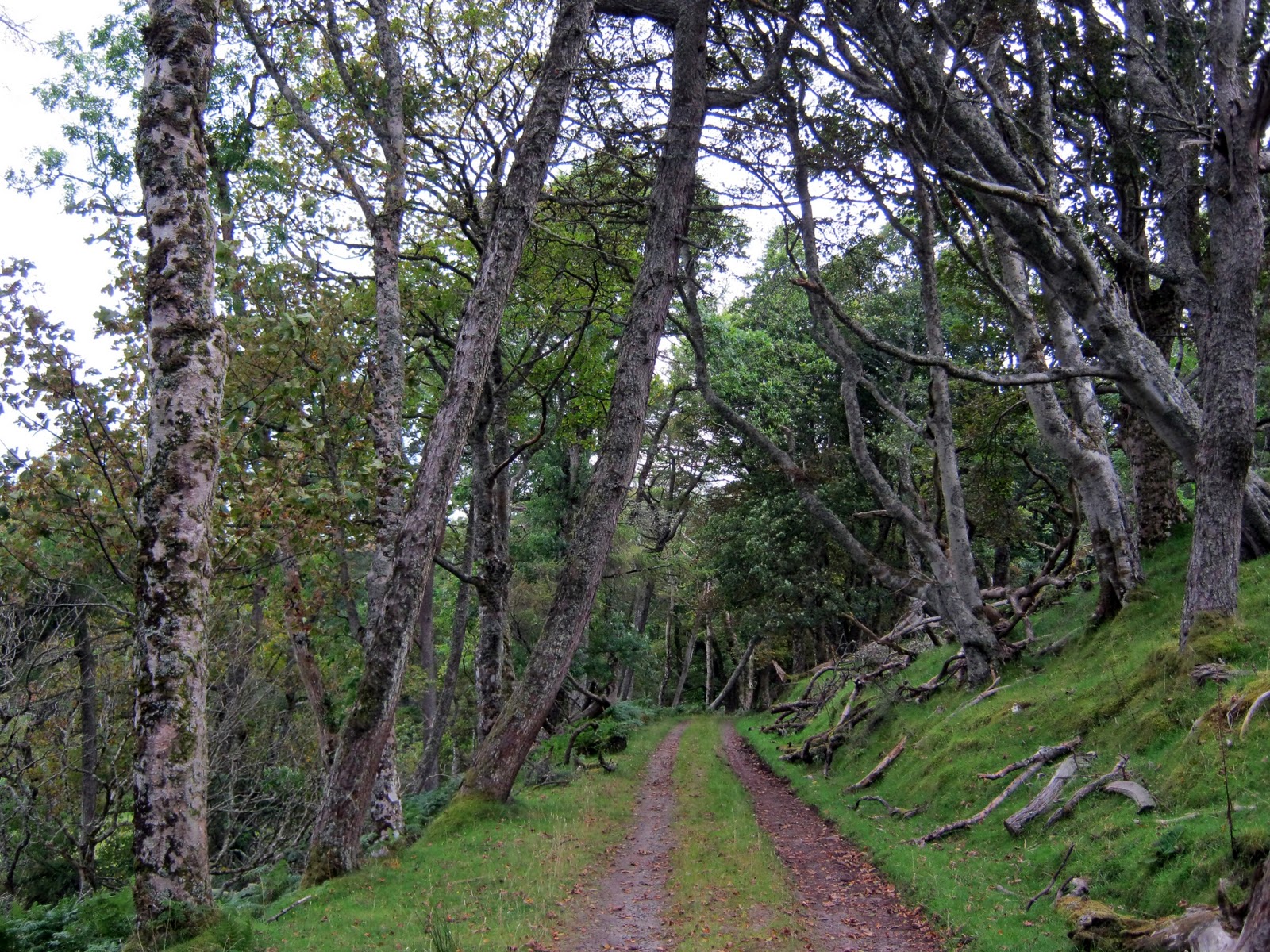 walking the rainbow trail: Romesdal to Kingsburgh 2