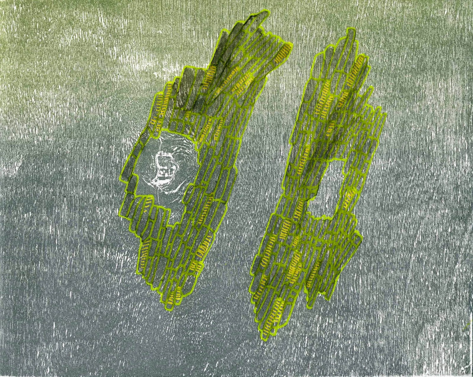 Dialogos E Interpretaciones (Dialogs and Interpretations): Images of ...