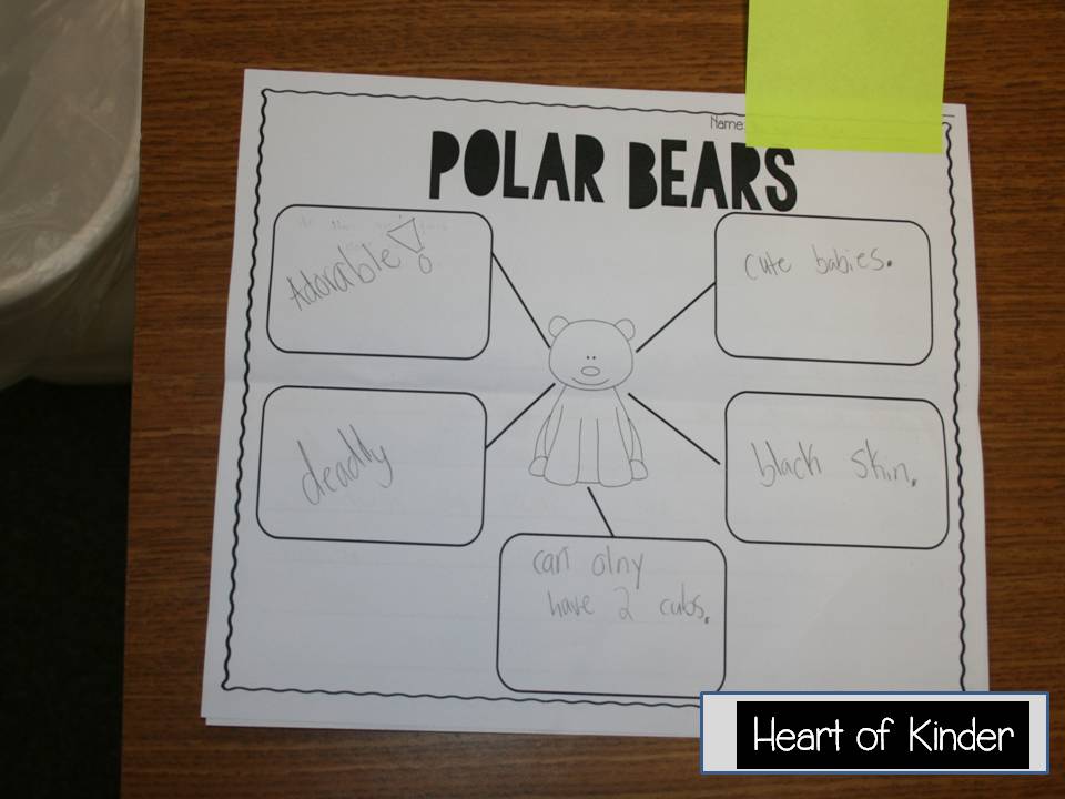 Heart of Kinder: Arctic Animals Research