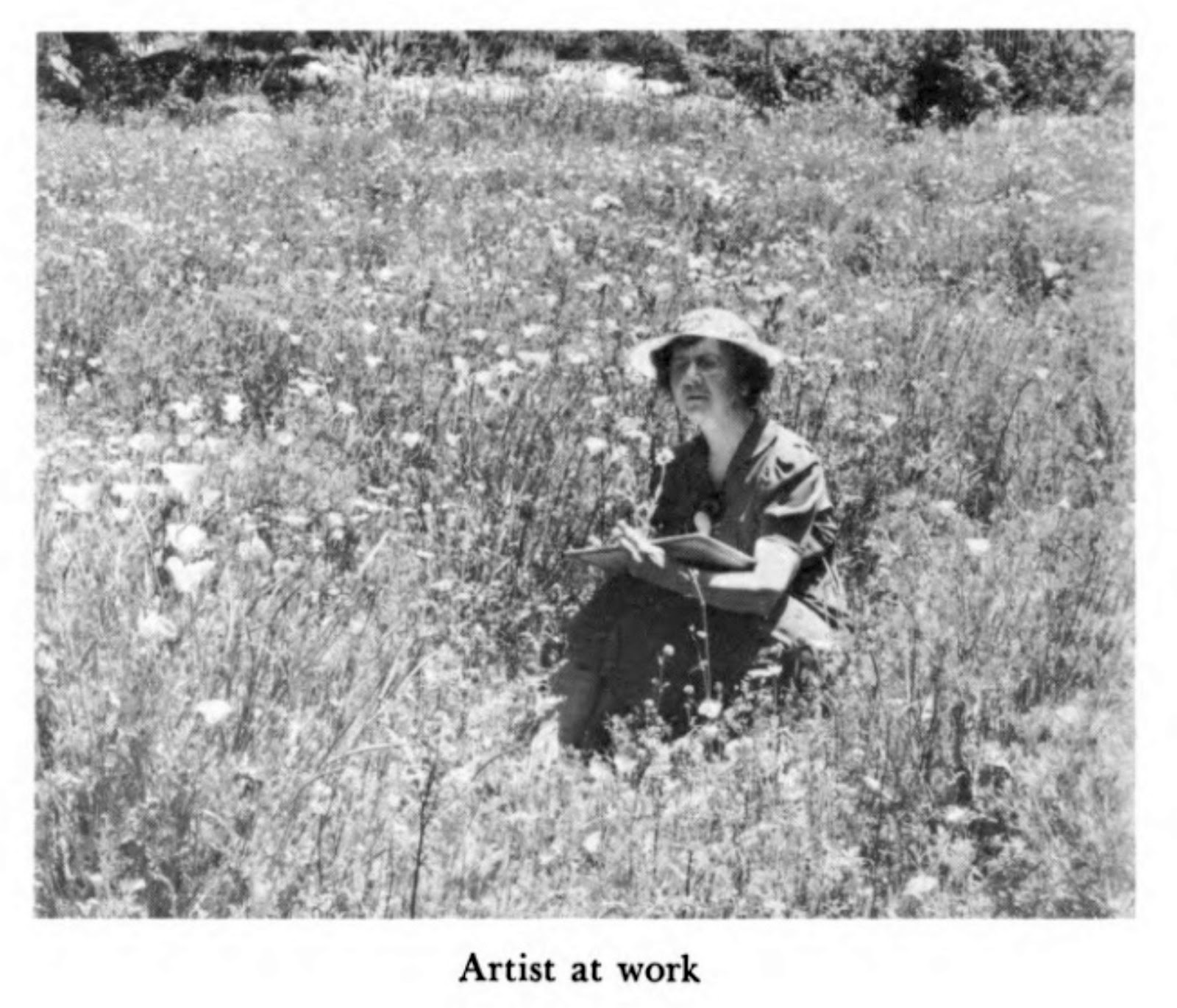 In the Company of Plants and Rocks: Tagging Edith Clements’s Art