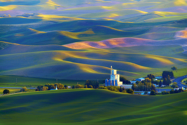 The Gray Report: Interesting views of the USA from an Italian vigneron