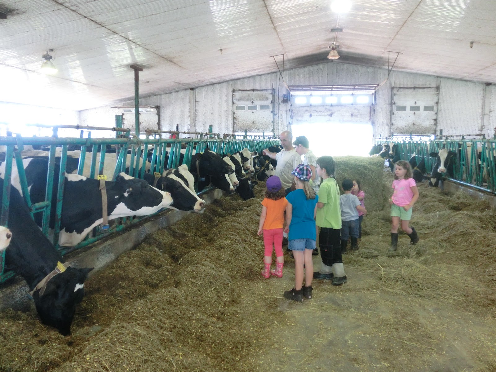 Nos aventures au Canada !: Ferme laitière