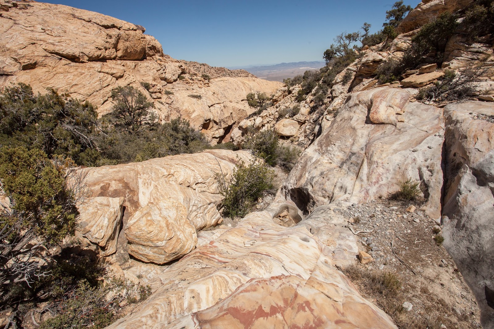 MUD SPRING CANYON, NEVADA - ADAM HAYDOCK